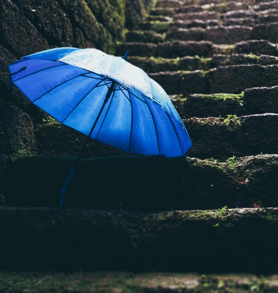 THE HOLY PILGRIMAGE OF GRIEF – The Few