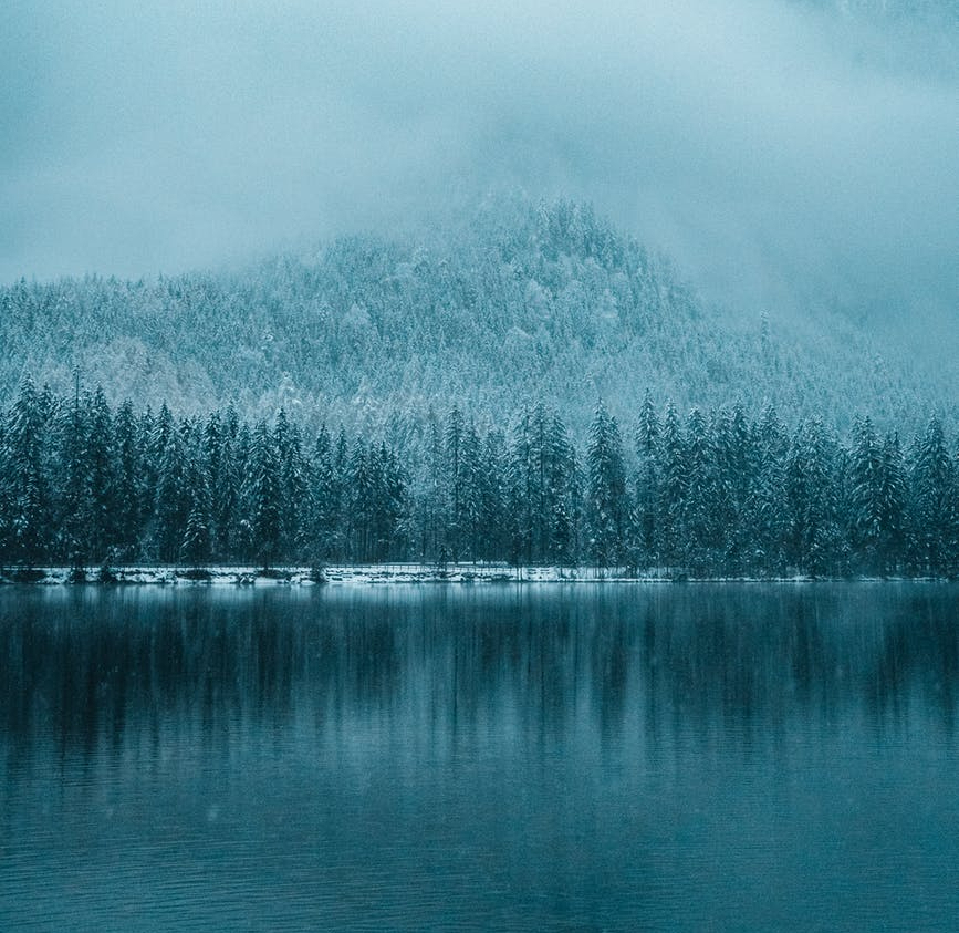 IN THE BLEAK MIDWINTER POEM (BLOGMAS DAY NINETEEN) – The Few