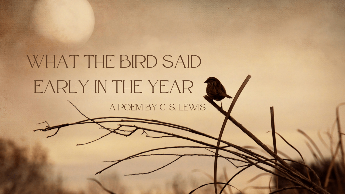 WHAT THE BIRD SAID EARLY IN THE YEAR – The Few