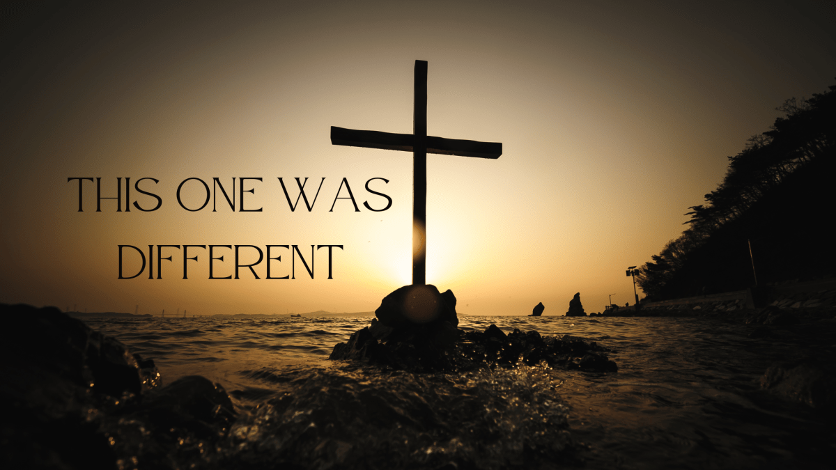 THIS ONE WAS DIFFERENT – The Few