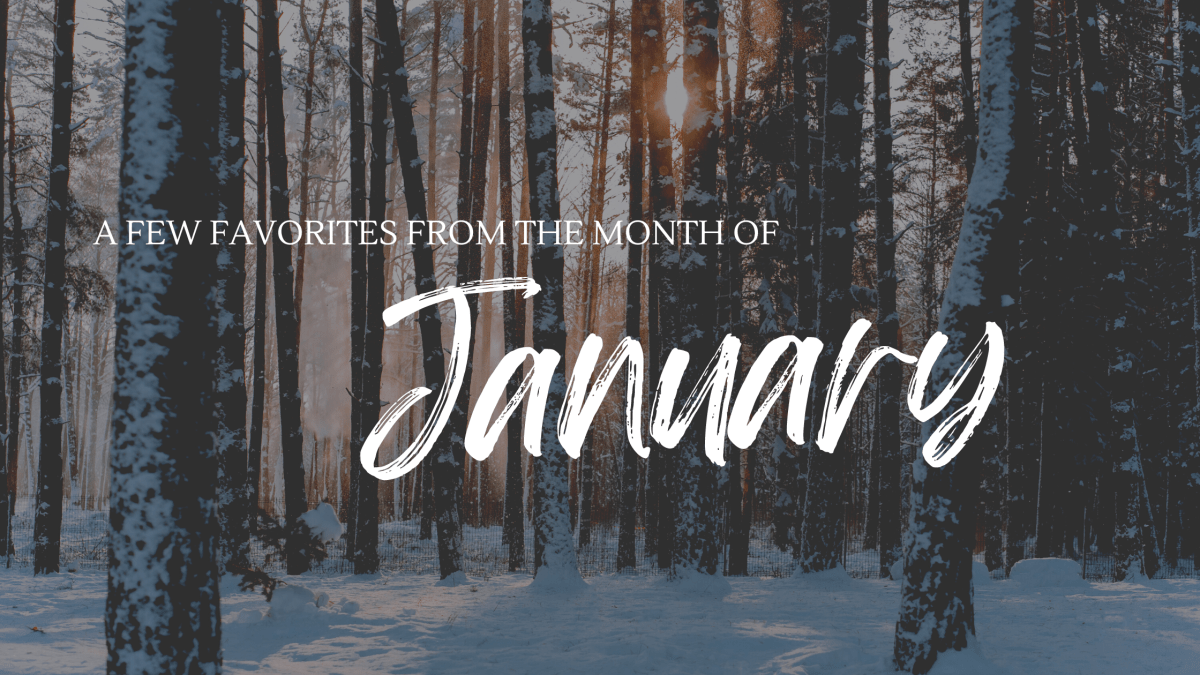 A FEW FAVORITES FROM THE MONTH OF JANUARY 2024 – The Few