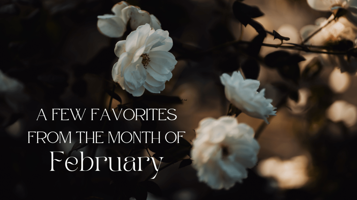 A FEW FAVORITES FROM THE MONTH OF FEBRUARY 2024 – The Few