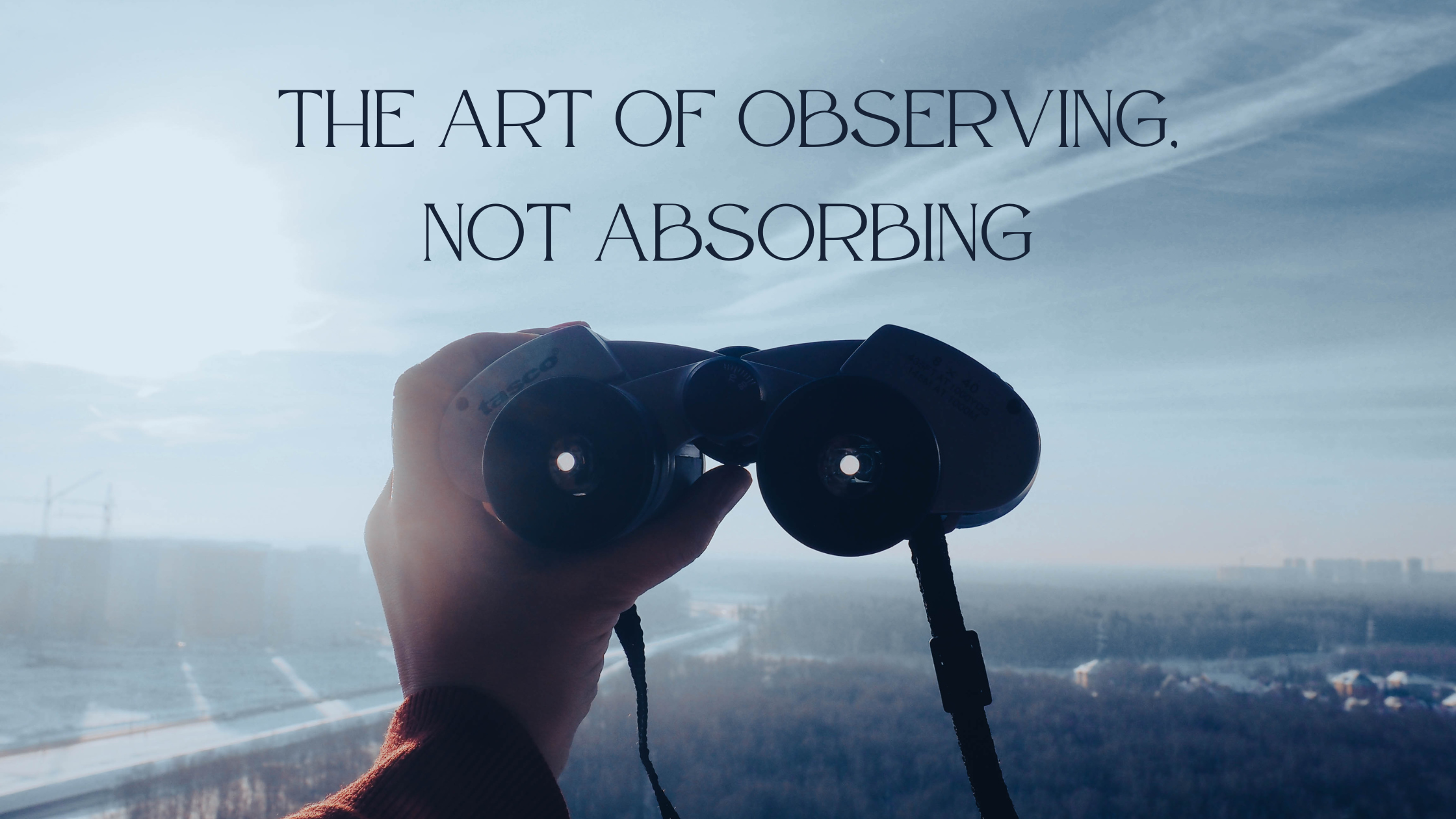 THE ART OF OBSERVING, NOT ABSORBING – The Few
