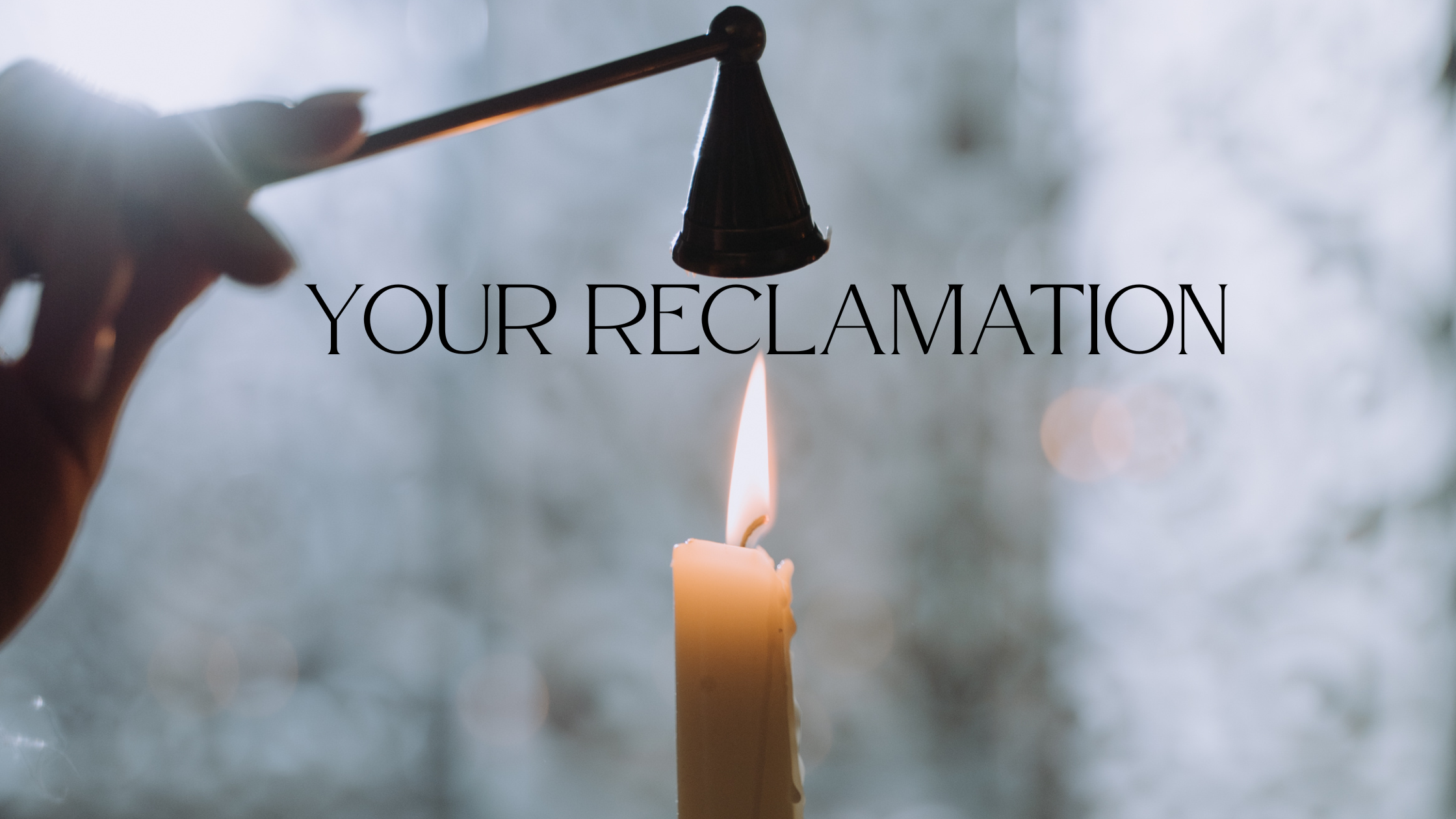 YOUR RECLAMATION (BLOGMAS DAY FIFTEEN 2025) – The Few